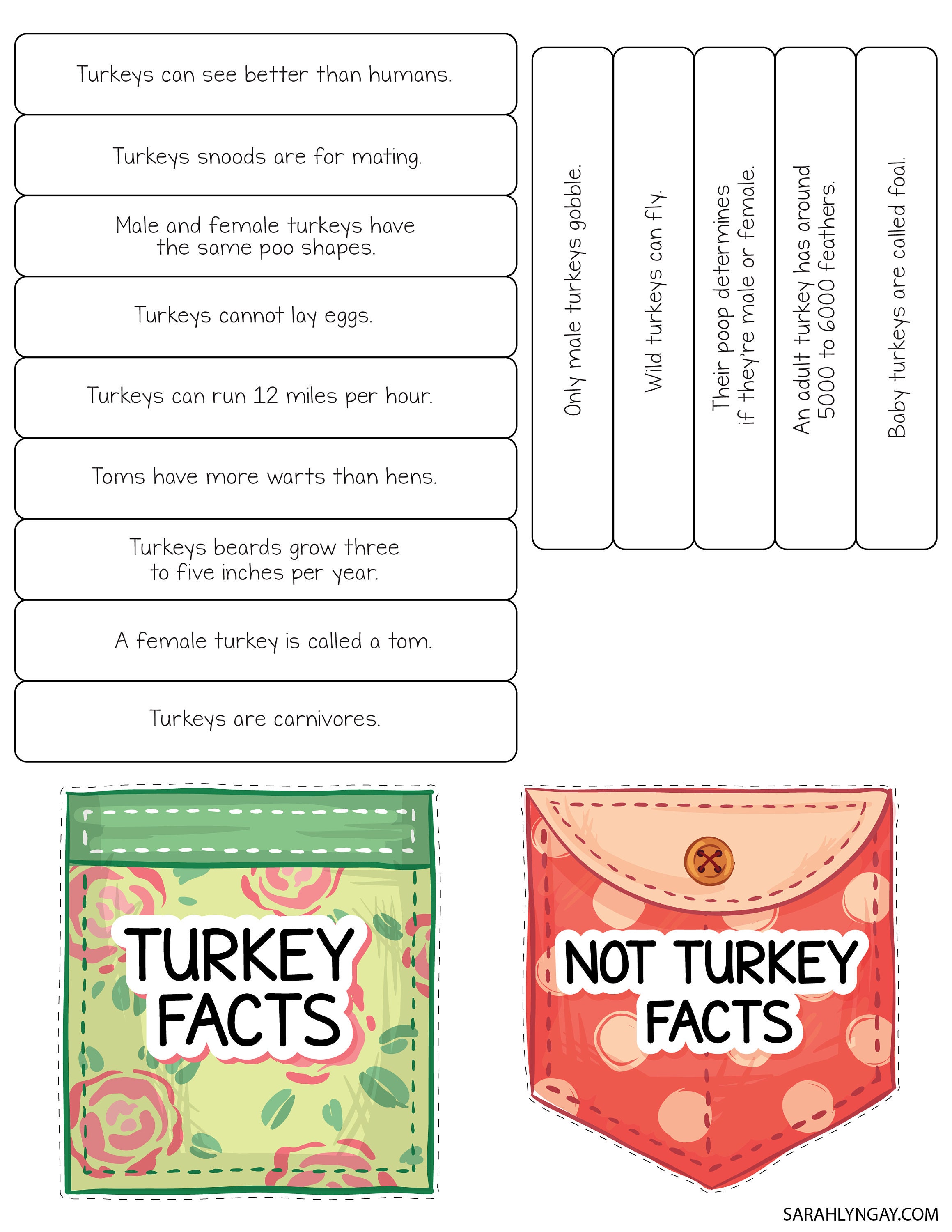 Turkey Lapbook Printable Set, Turkey, Lapbook, Digital Download ...