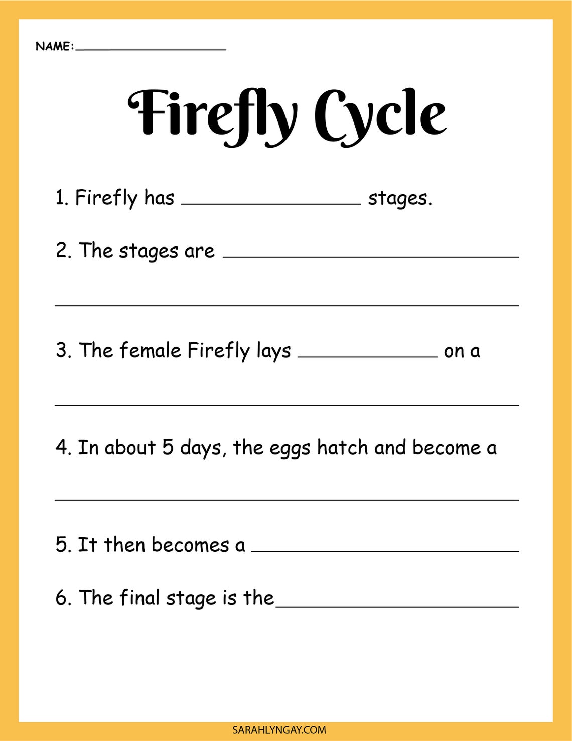 Firefly Lifecycle Activity Set, Fireflies, Digital Download, Instant ...