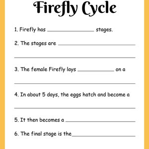 Firefly Lifecycle Activity Set, Fireflies, Digital Download, Instant ...