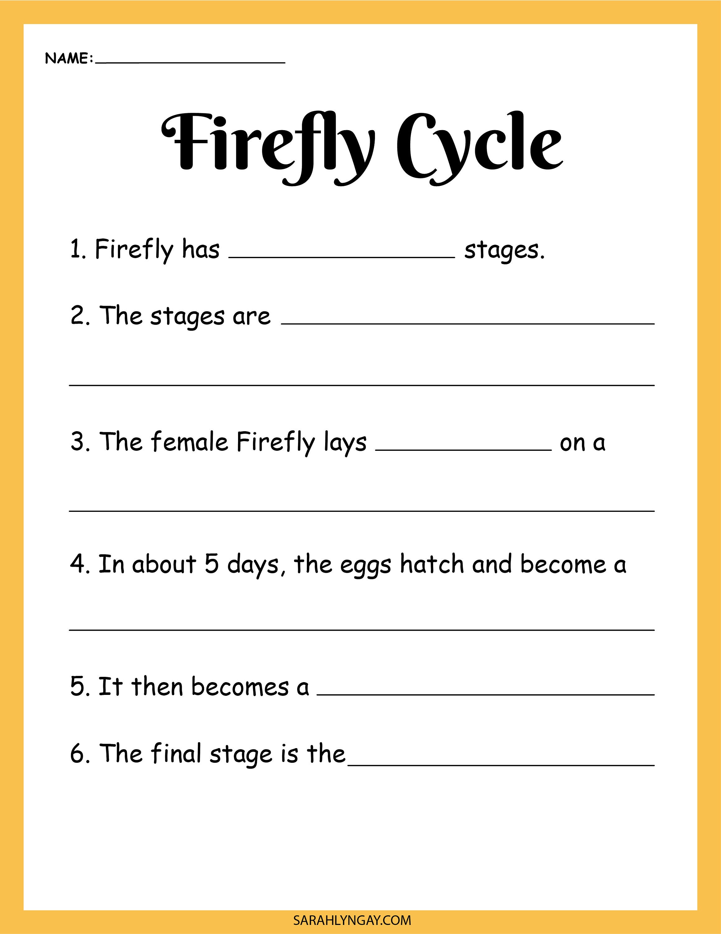 Firefly Lifecycle Activity Set, Fireflies, Digital Download, Instant ...