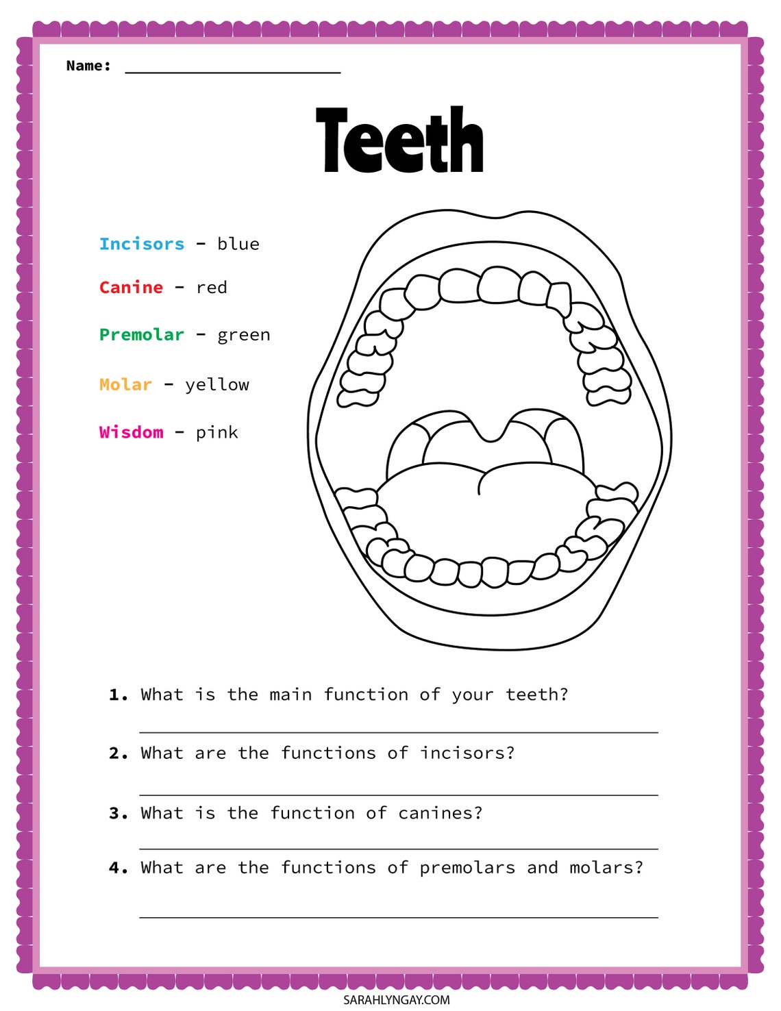 Parts of a Tooth Set, Instant Download, Digital Download, Kid’s ...