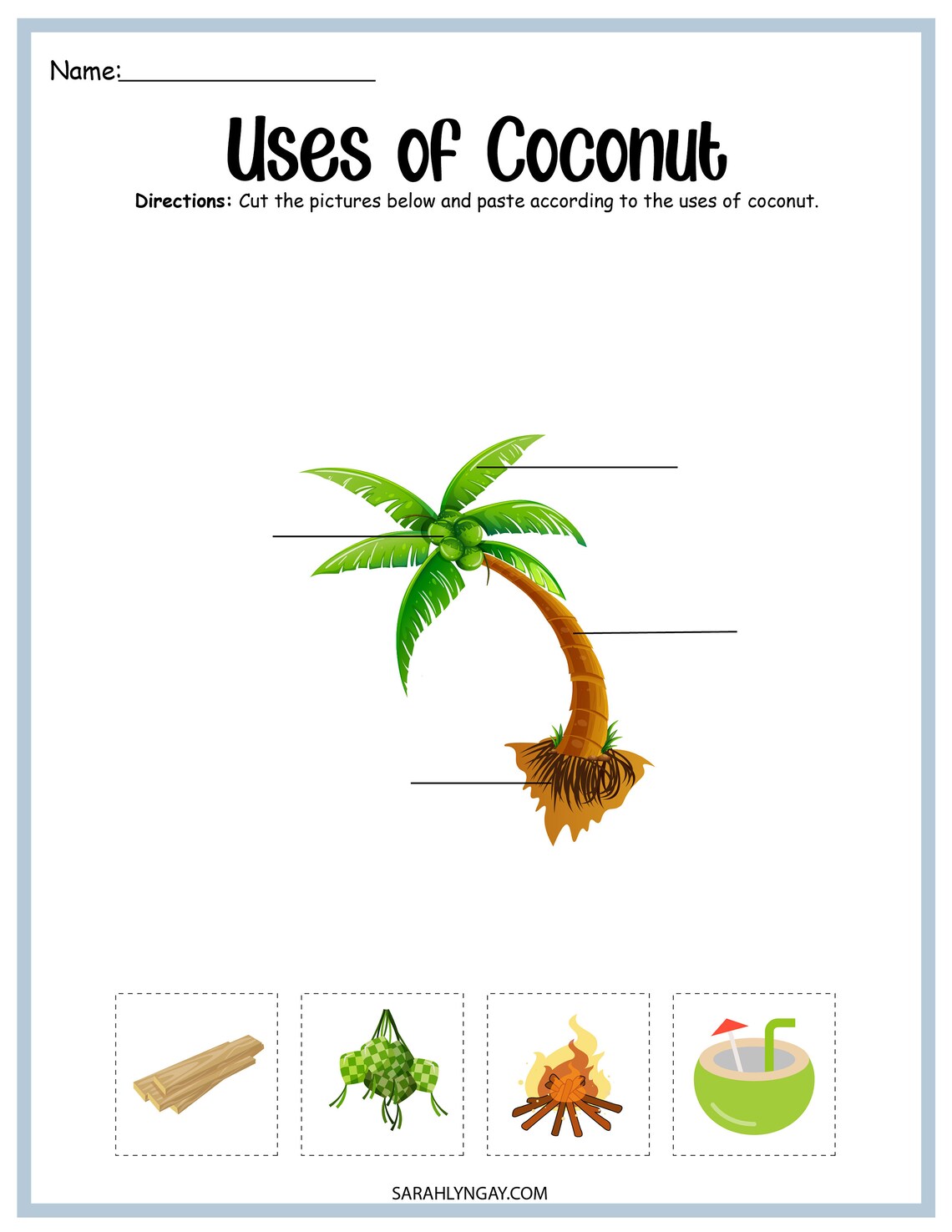Coconut Tree, Coconut Tree Life Cycle, Instant Download, STEM Workbook ...