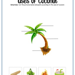Coconut Tree, Coconut Tree Life Cycle, Instant Download, STEM Workbook ...