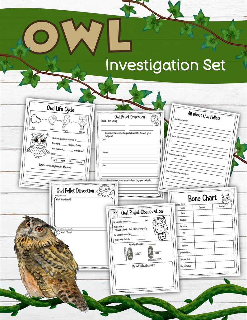 Owl Investigation Set, Owl Pellets, Digital Download, Printable ...