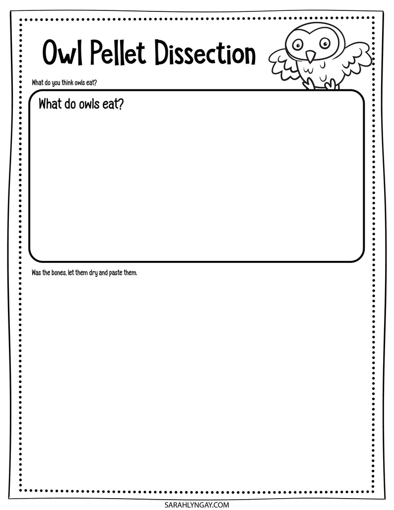 Owl Investigation Set, Owl Pellets, Digital Download, Printable ...