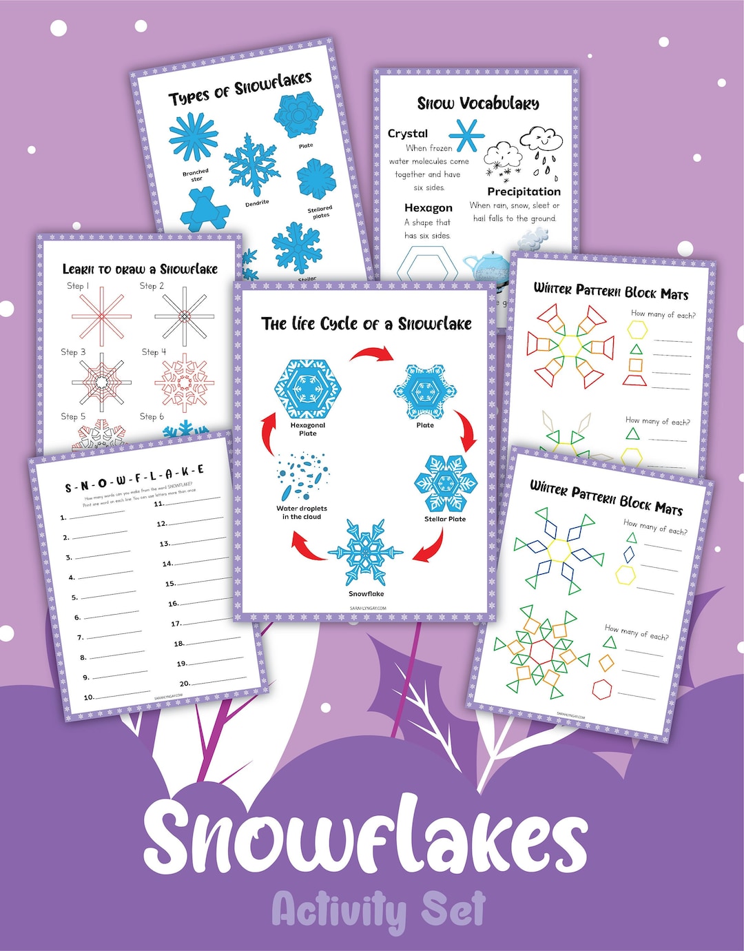 Snowflake Lifecycle, All About Snowflakes, Types of Snowflakes, Instant ...