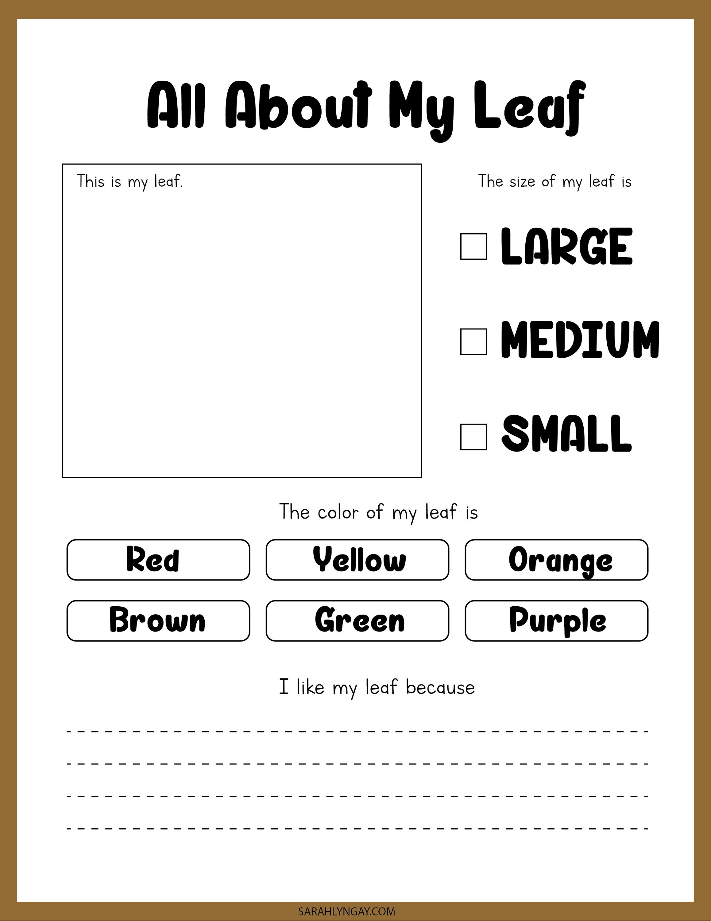 Leaves, All About Leaves, Instant Download, STEM Workbook, Digital ...