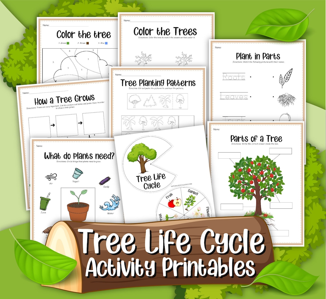 Tree Life Cycle, Trees, Instant Download, Digital Download, Kids ...