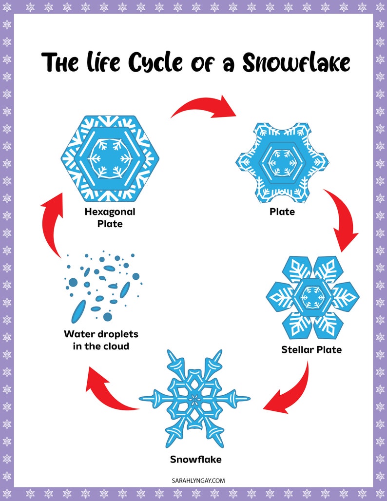 Snowflake Lifecycle, All About Snowflakes, Types of Snowflakes, Instant ...