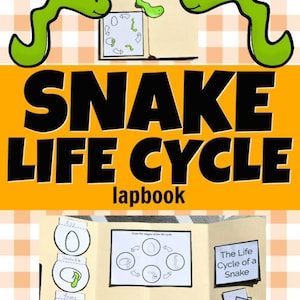 Snake Lifecycle Lapbook, Snake Lifecycle, Lapbook, Digital Download ...