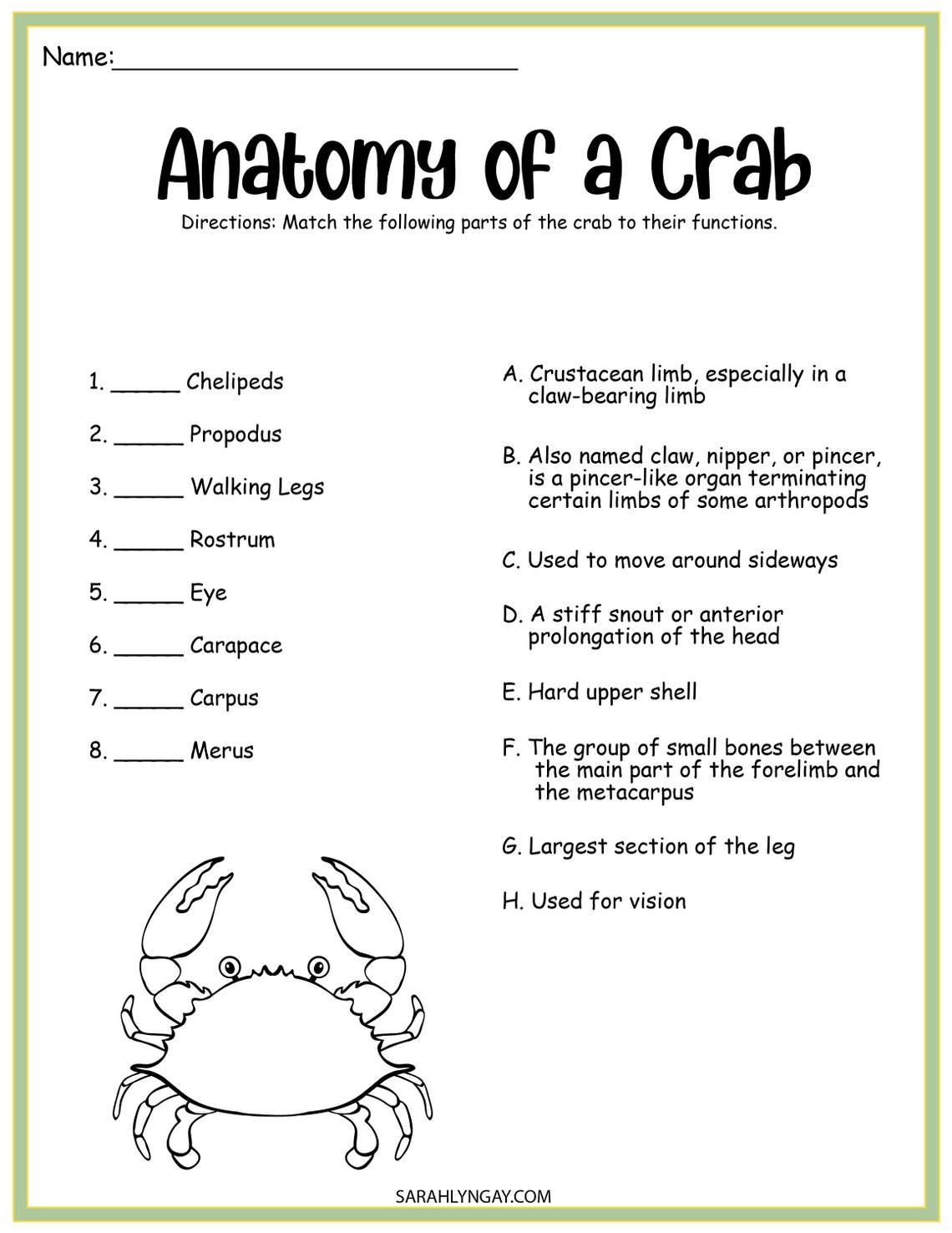 Crab Life Cycle, Crabs, All About Crabs, Instant Download, STEM ...