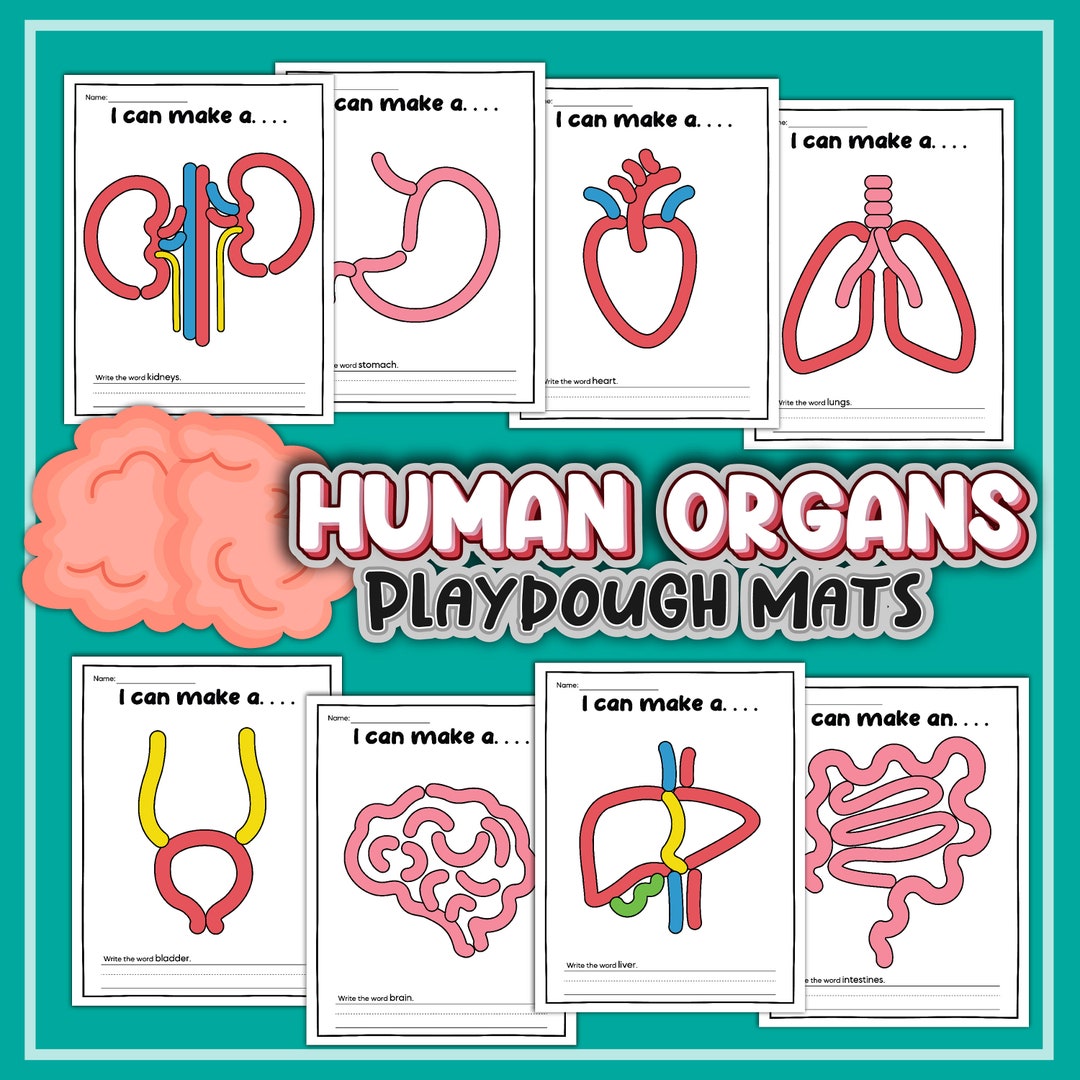 Human Organs Playdough Mats, Human Organs, Playdough Mats, Digital ...