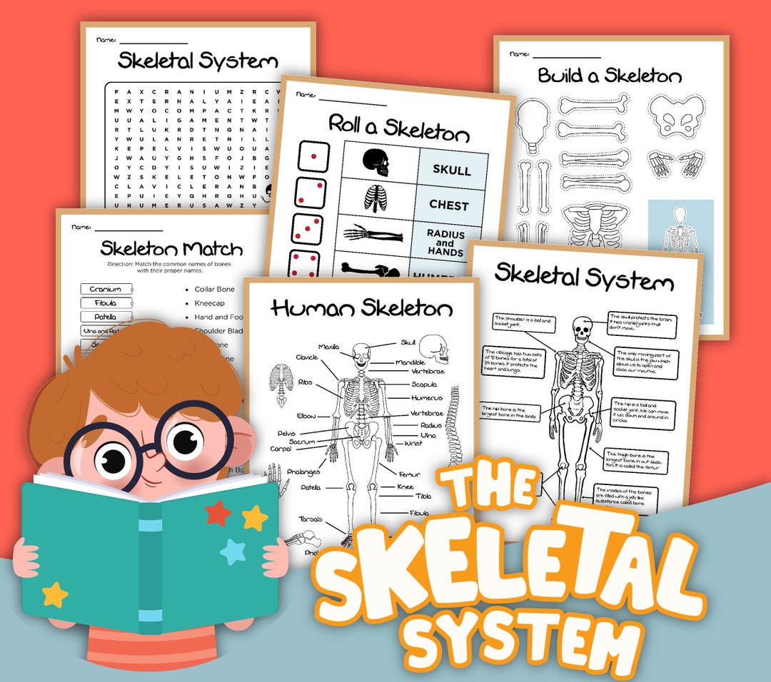 Skeletal System, Skeleton, Human Skeleton, Digital Download, Instant ...