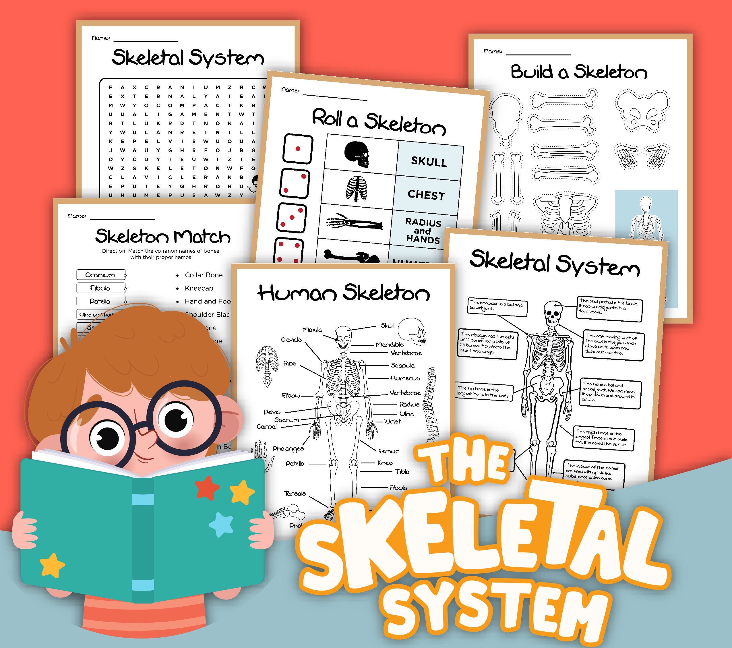Skeletal System, Skeleton, Human Skeleton, Digital Download, Instant ...