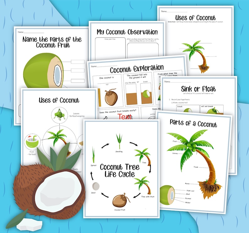 Coconut Tree, Coconut Tree Life Cycle, Instant Download, STEM Workbook ...