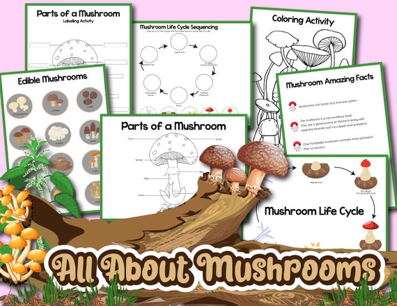Mushroom Life Cycle Mushrooms instant download STEM | Etsy