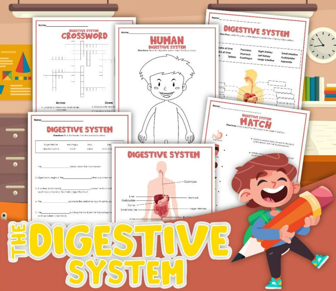 The Digestive System, Digestive System, Digital Download, Instant ...