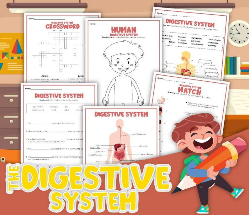 The Digestive System, Digestive System, Digital Download, Instant ...