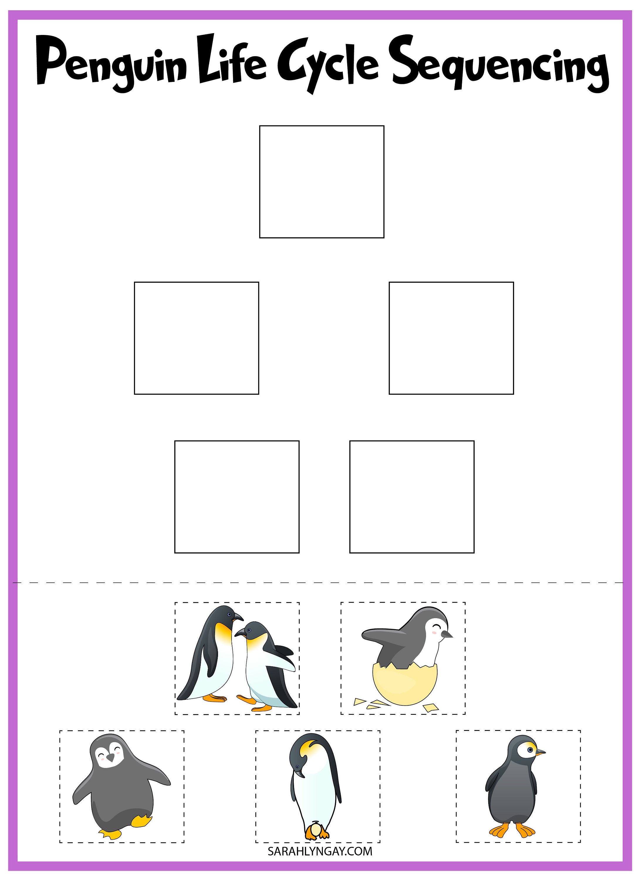 Penguin Printables, Penguin Life Cycle, Birds, All About Penquins ...