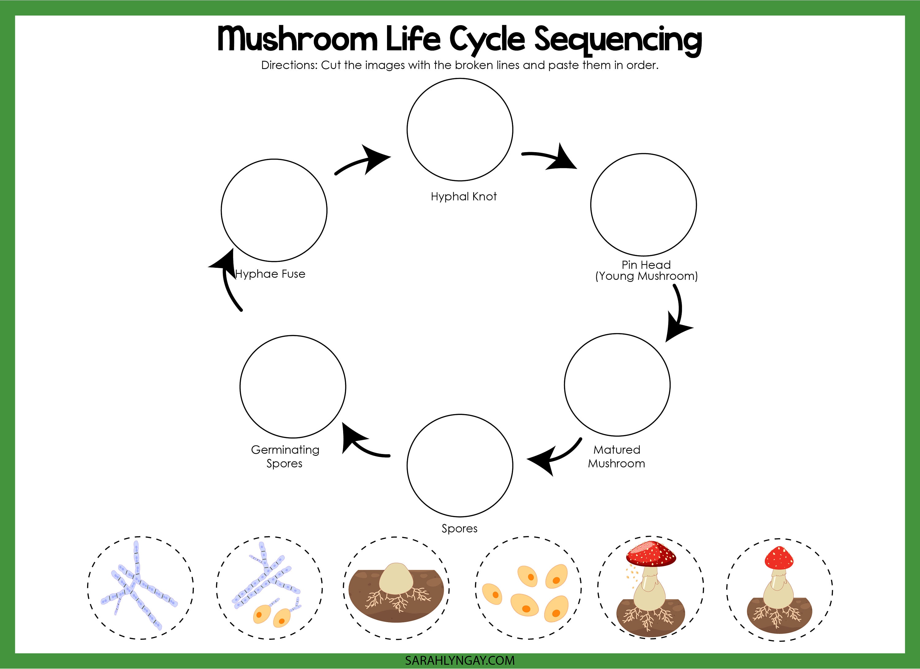 Mushroom Life Cycle, Mushrooms, Instant Download, STEM Workbook ...