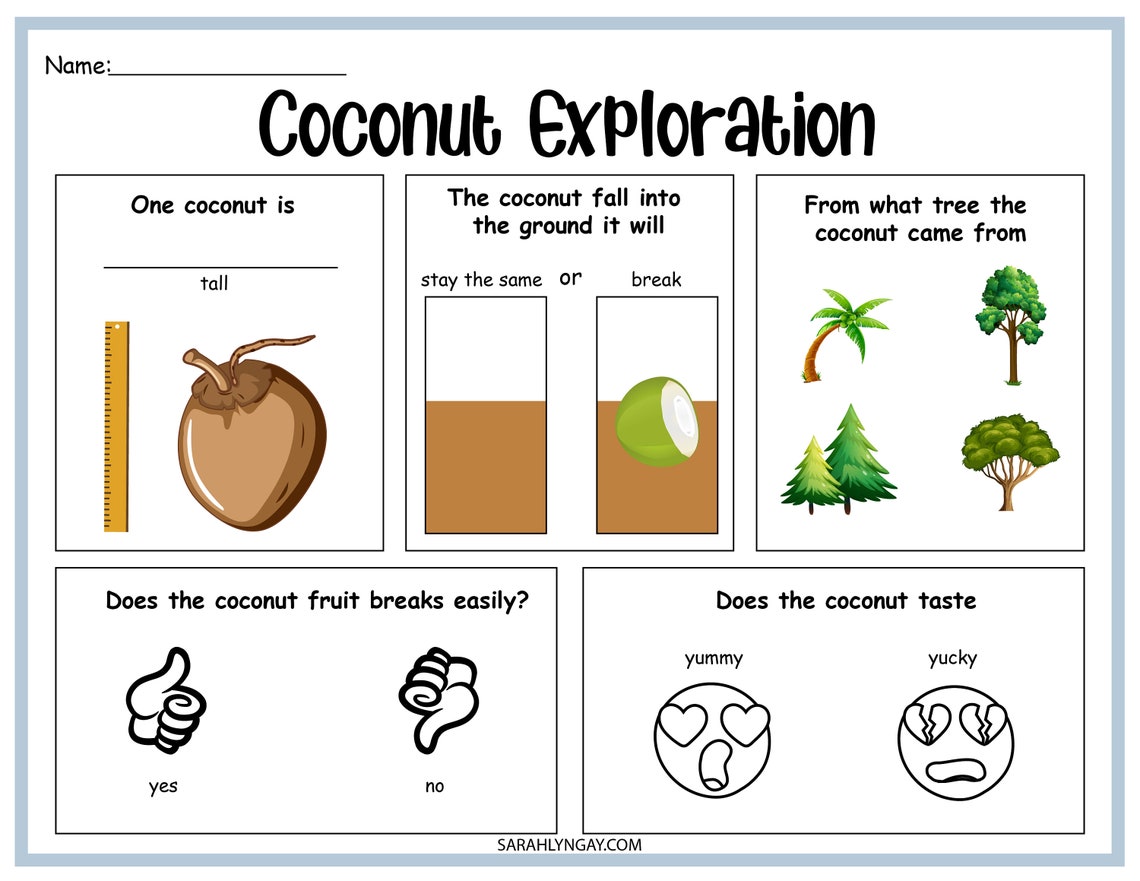Coconut Tree, Coconut Tree Life Cycle, Instant Download, STEM Workbook ...