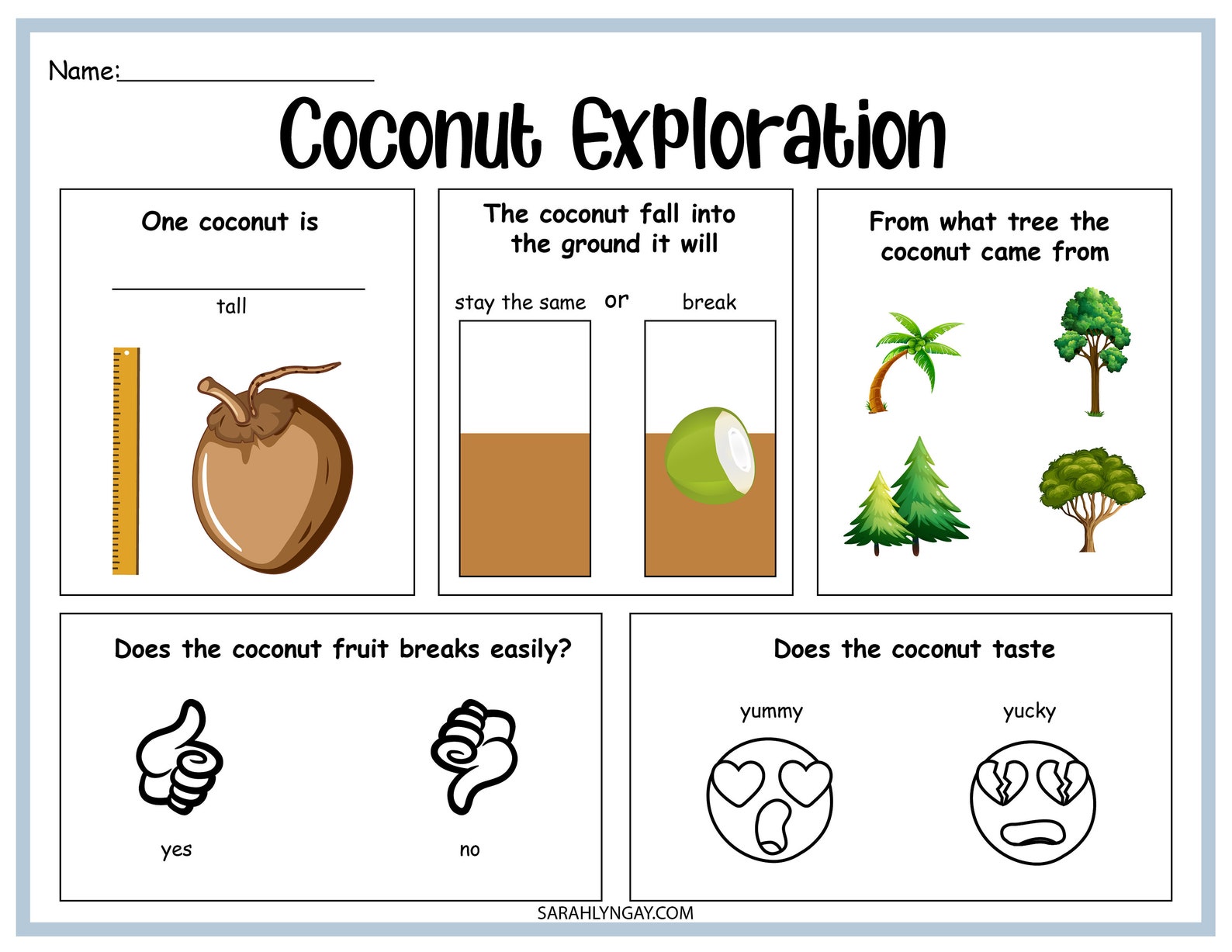 Coconut Tree, Coconut Tree Life Cycle, Instant Download, STEM Workbook ...