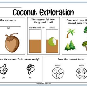 Coconut Tree, Coconut Tree Life Cycle, Instant Download, STEM Workbook ...