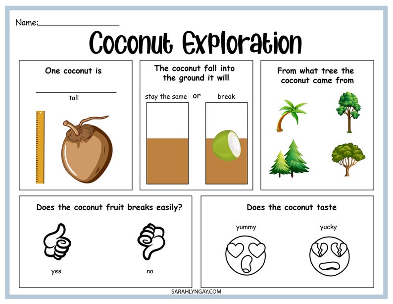 Coconut Tree, Coconut Tree Life Cycle, Instant Download, STEM Workbook ...