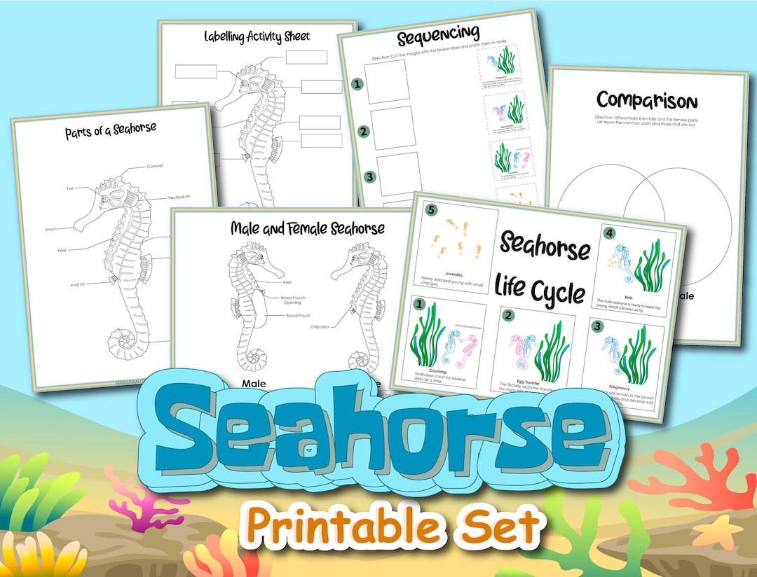 Seahorses Seahorse Lifecycle Seahorse Facts Digital - Etsy
