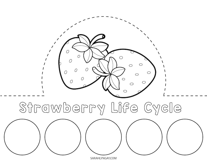 Plant Life Cycle Hats, Plant Life, Plants, Digital Download, Instant ...
