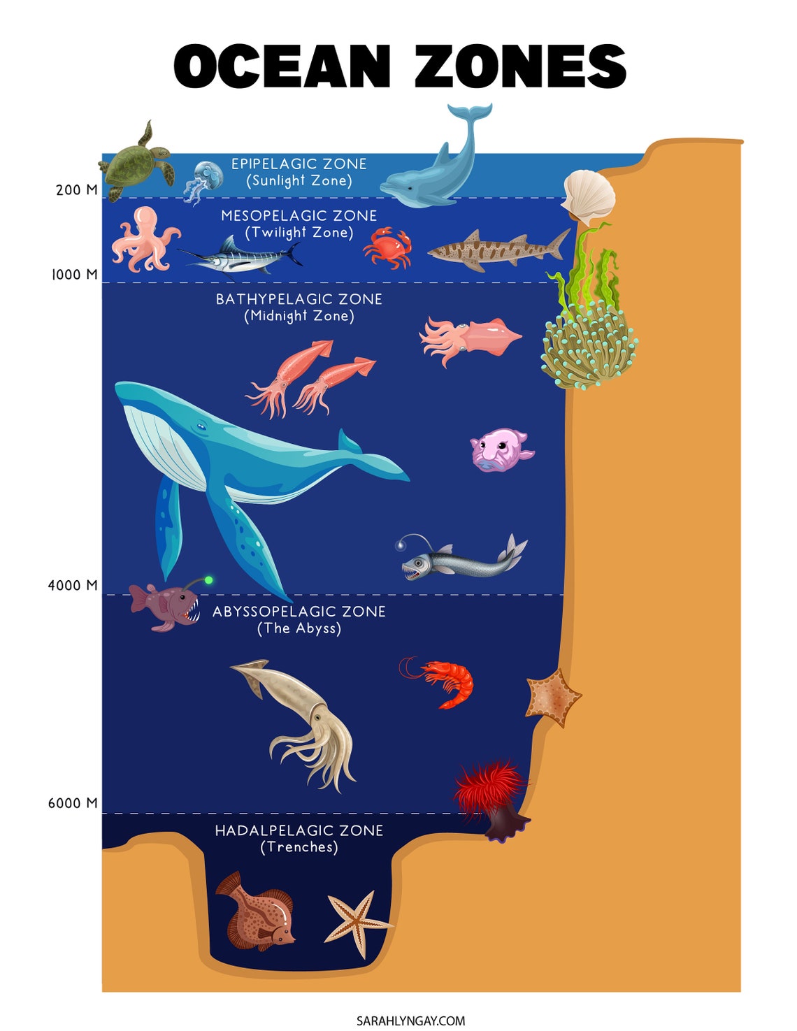 Ocean Printable Set, Digital Download, Printable Download, STEM, Stem ...
