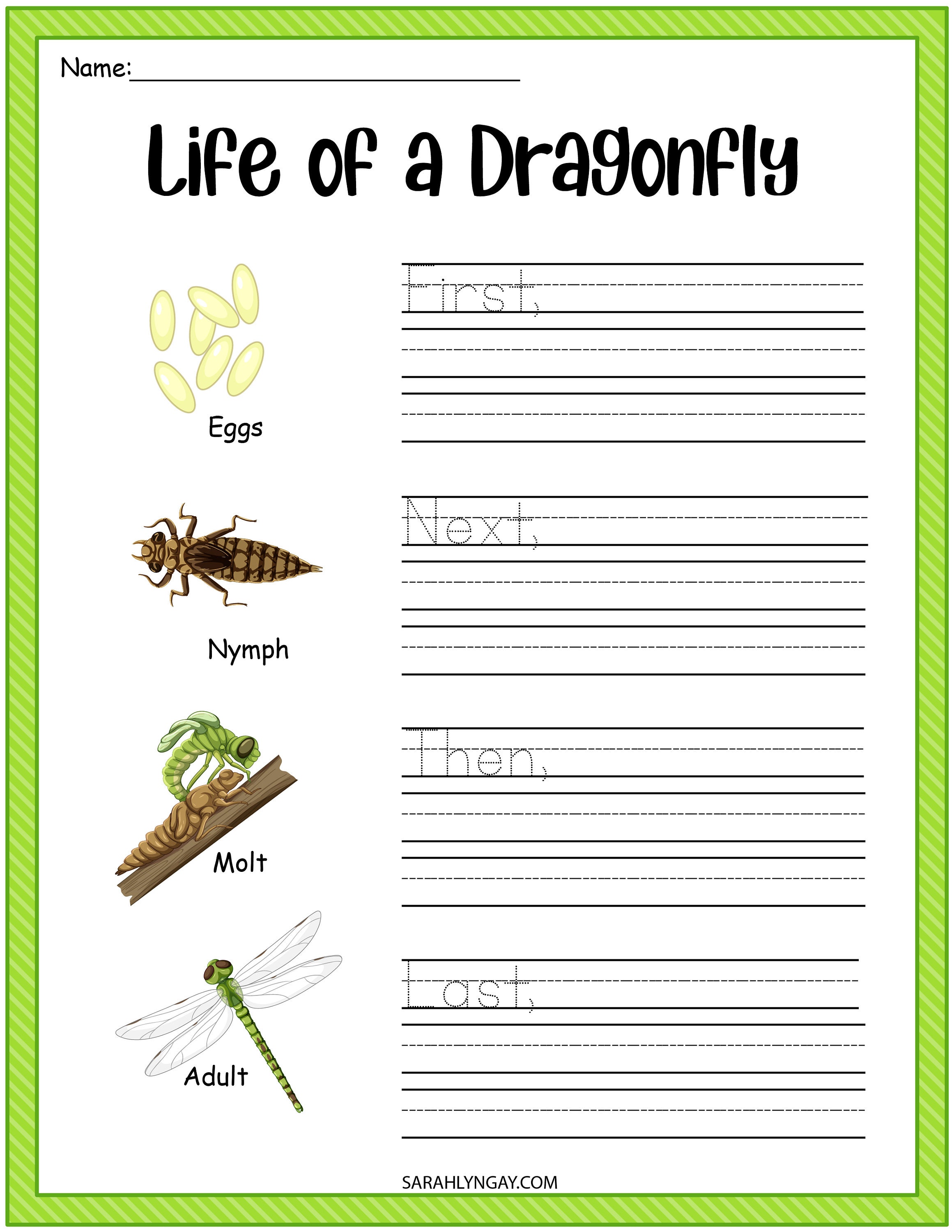Dragonfly, Dragonfly Life Cycle, Instant Download, Digital Download ...