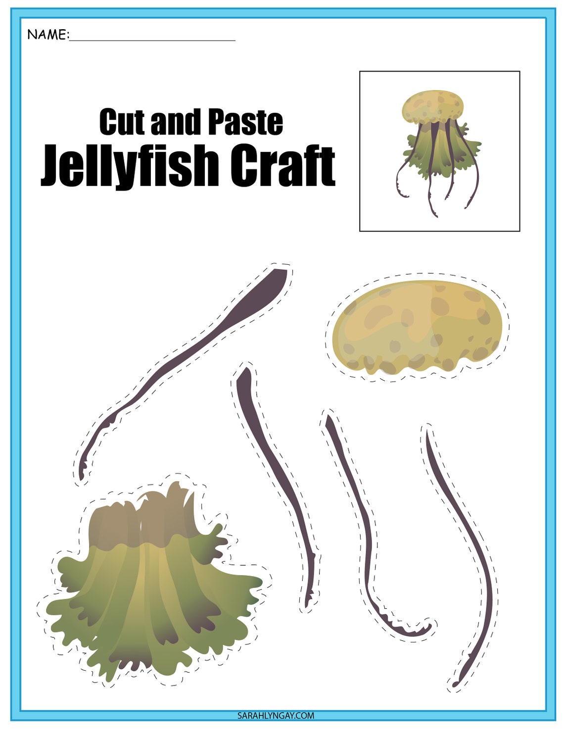 Jellyfish Life Cycle, Instant Download STEM Workbook, Digital Download ...