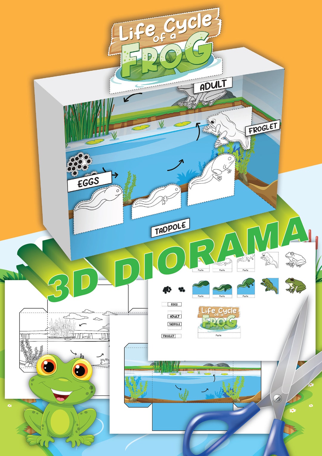 Frog 3D Life Cycle Diorama, Frogs, 3D Diorama, Life Cycle, Digital ...