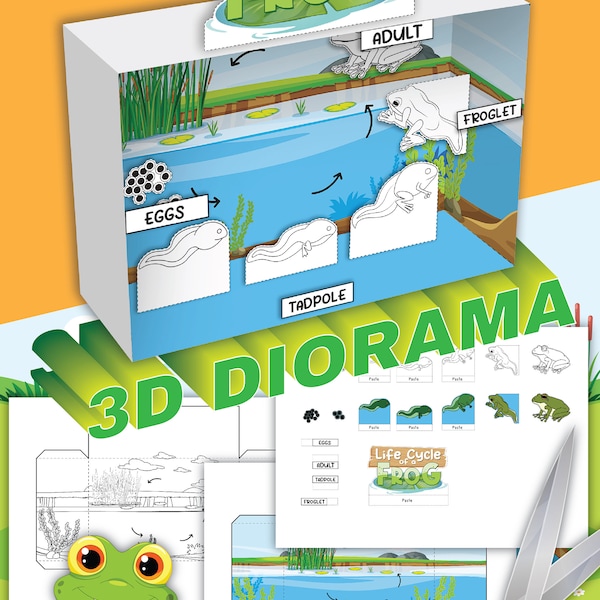 Frog Life Cycle - Etsy