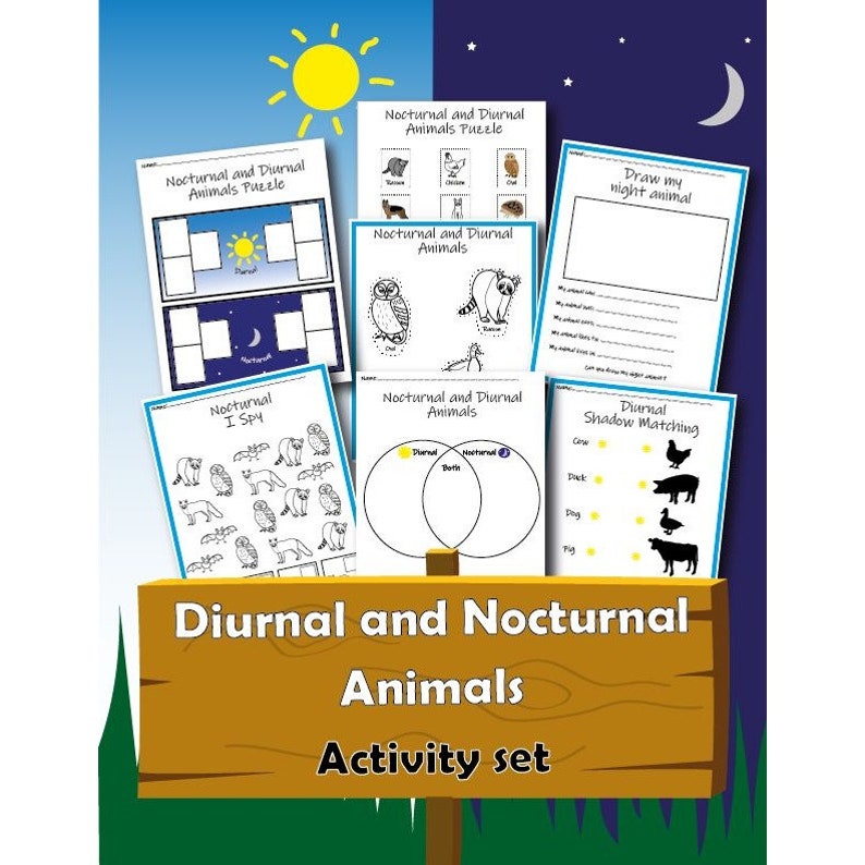 Nocturnal and Diurnal Animals Worksheet Set, Printable Lesson Plan ...