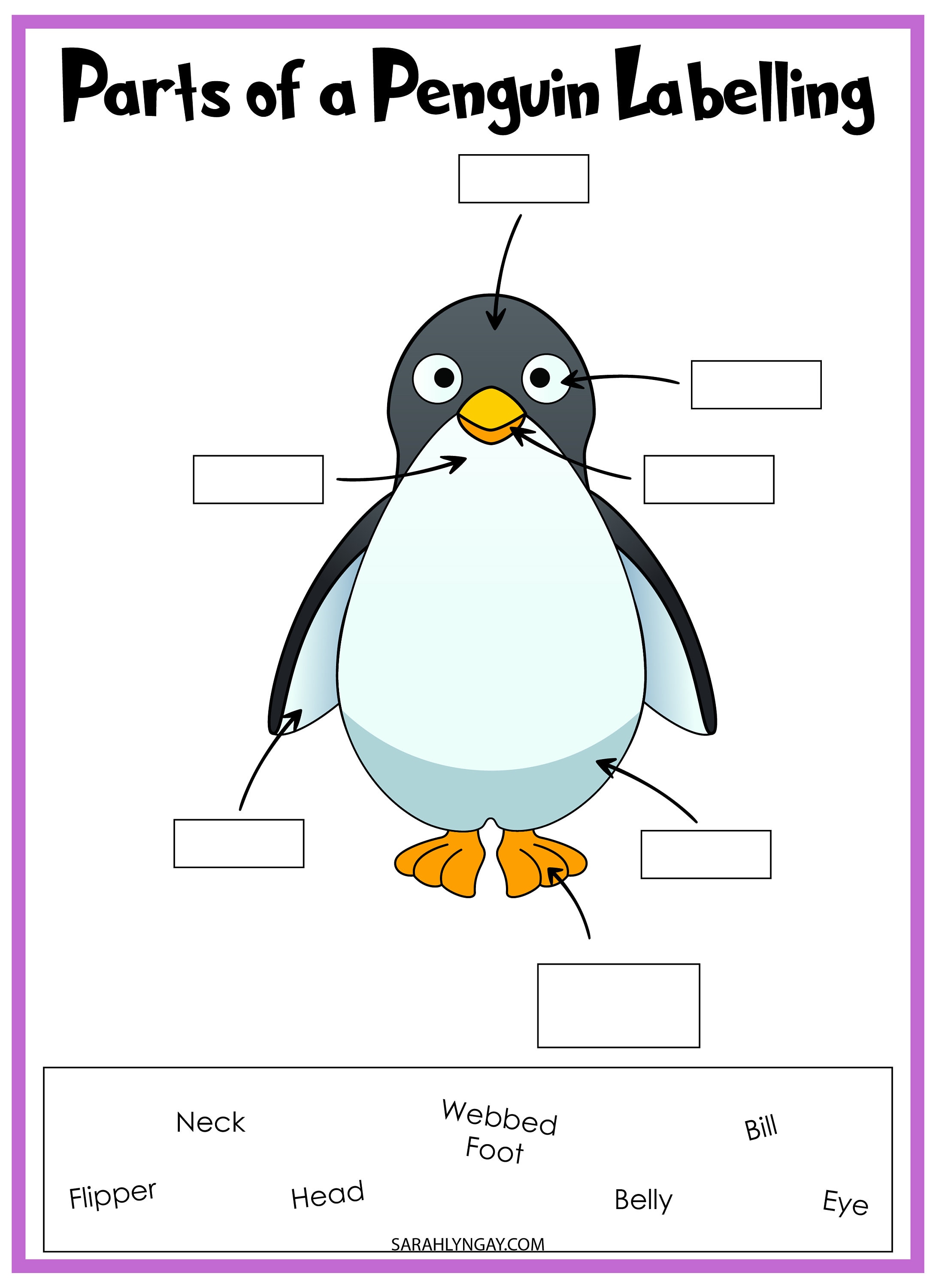 Label Penguin Parts Worksheet