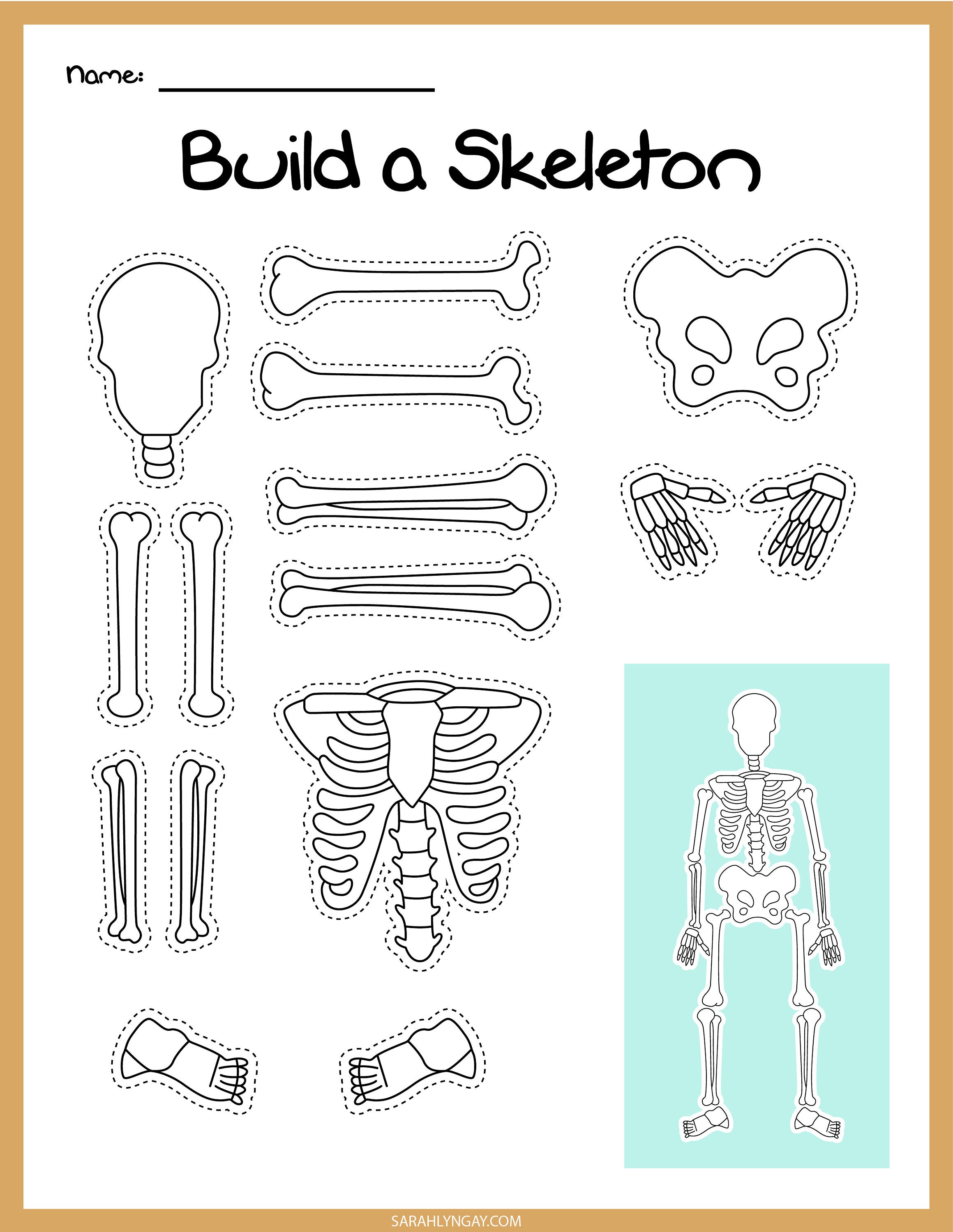 Skeletal System, Skeleton, Human Skeleton, Digital Download, Instant ...
