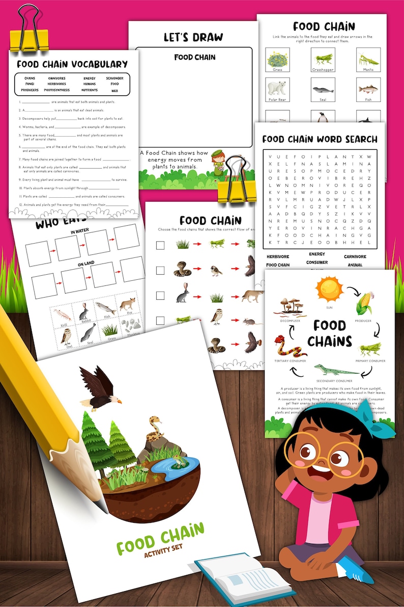 Food Chain Printable Set, Food Chain, Printable Download, Instant ...