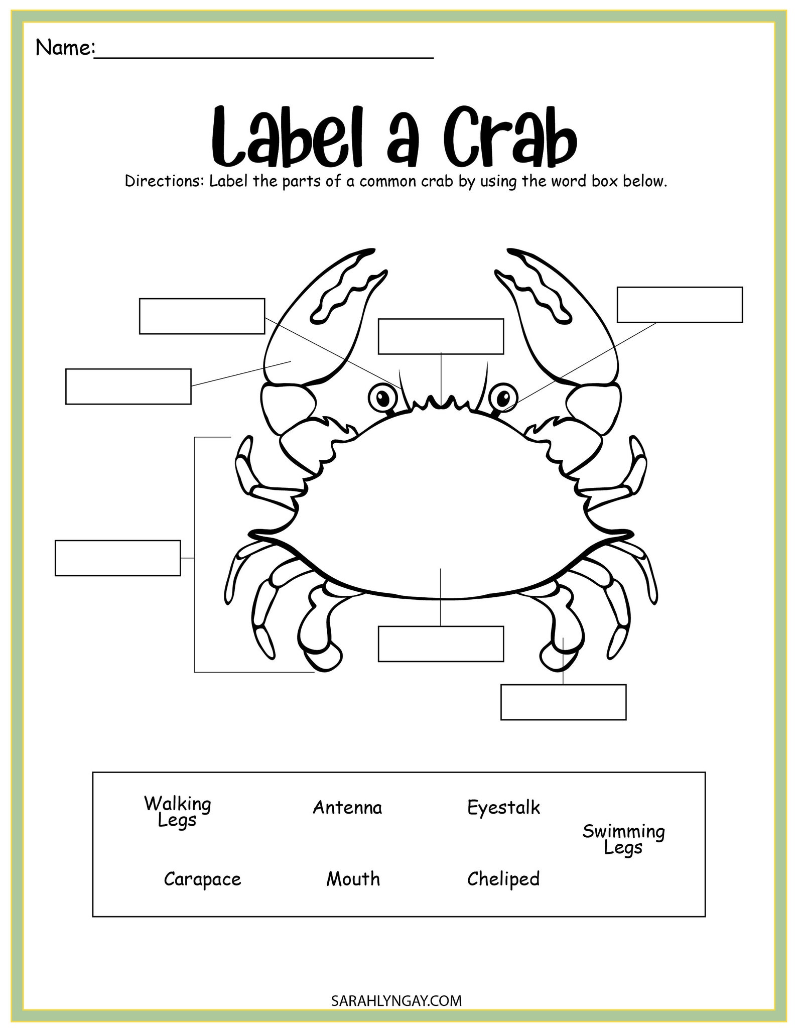 Crab Life Cycle, Crabs, All About Crabs, Instant Download, STEM ...