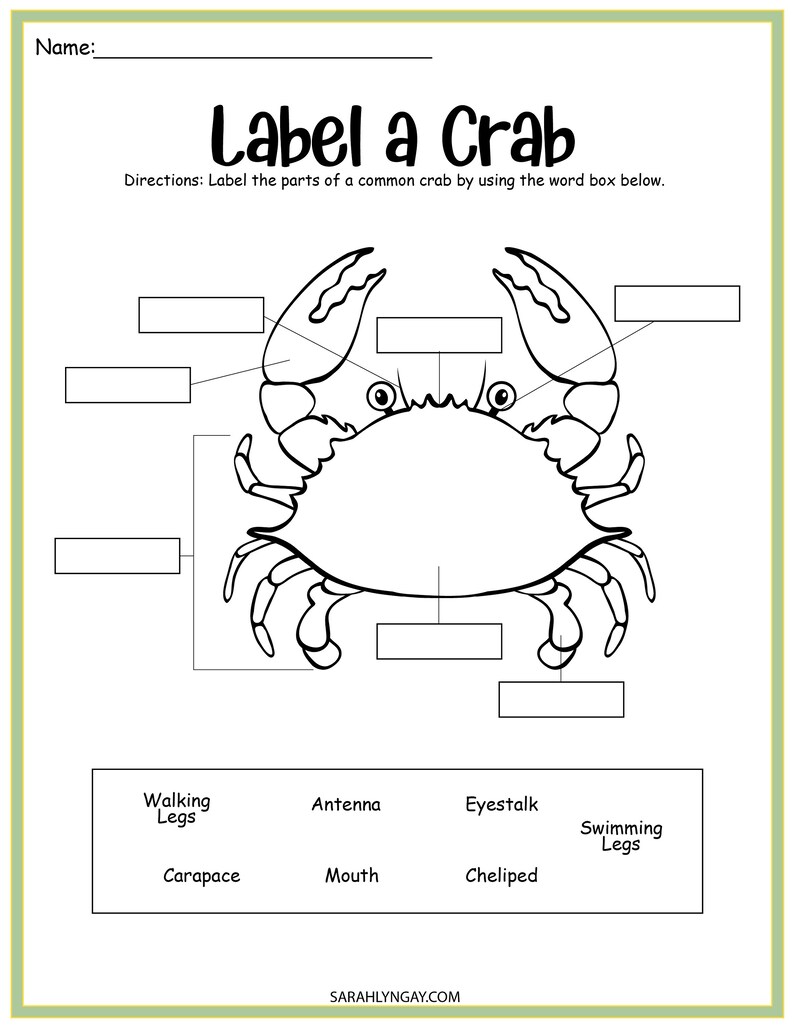 Crab Life Cycle, Crabs, All About Crabs, Instant Download, STEM ...
