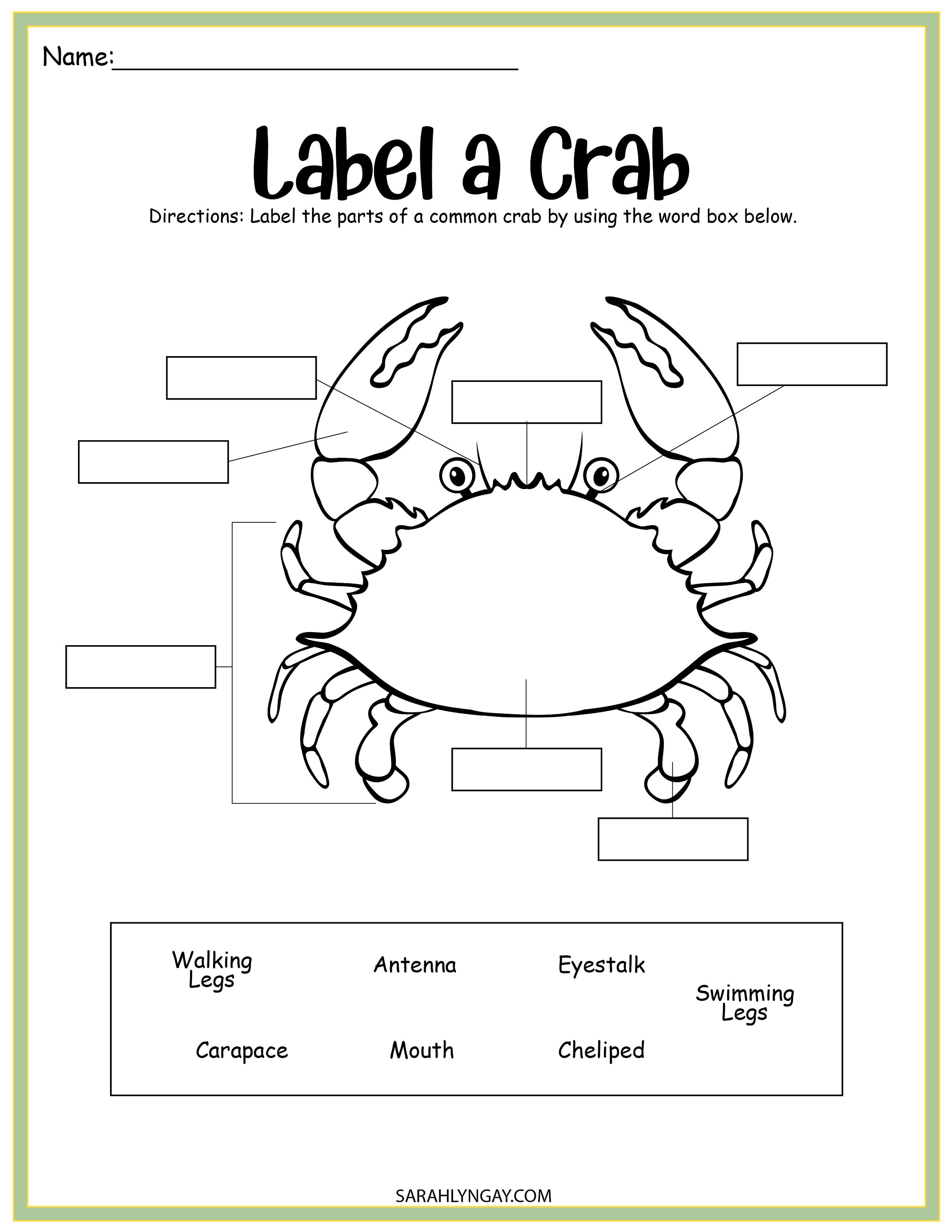 Crab Life Cycle, Crabs, All About Crabs, Instant Download, STEM ...