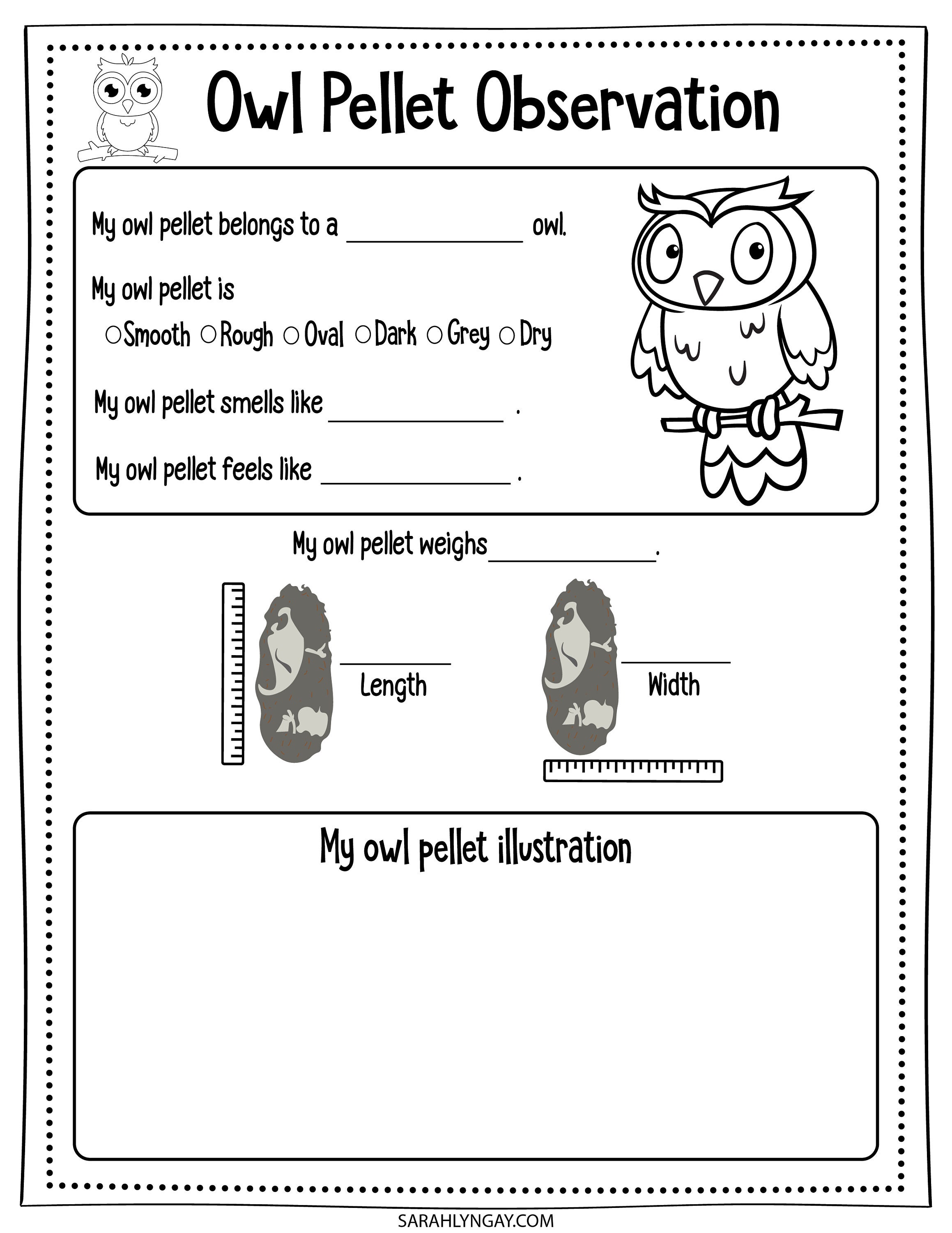 Owl Investigation Set, Owl Pellets, Digital Download, Printable ...