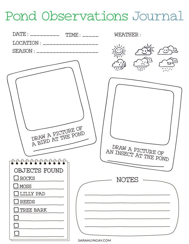 Pond Explorer Journal and Scavenger Hunt, Digital Download, Instant ...
