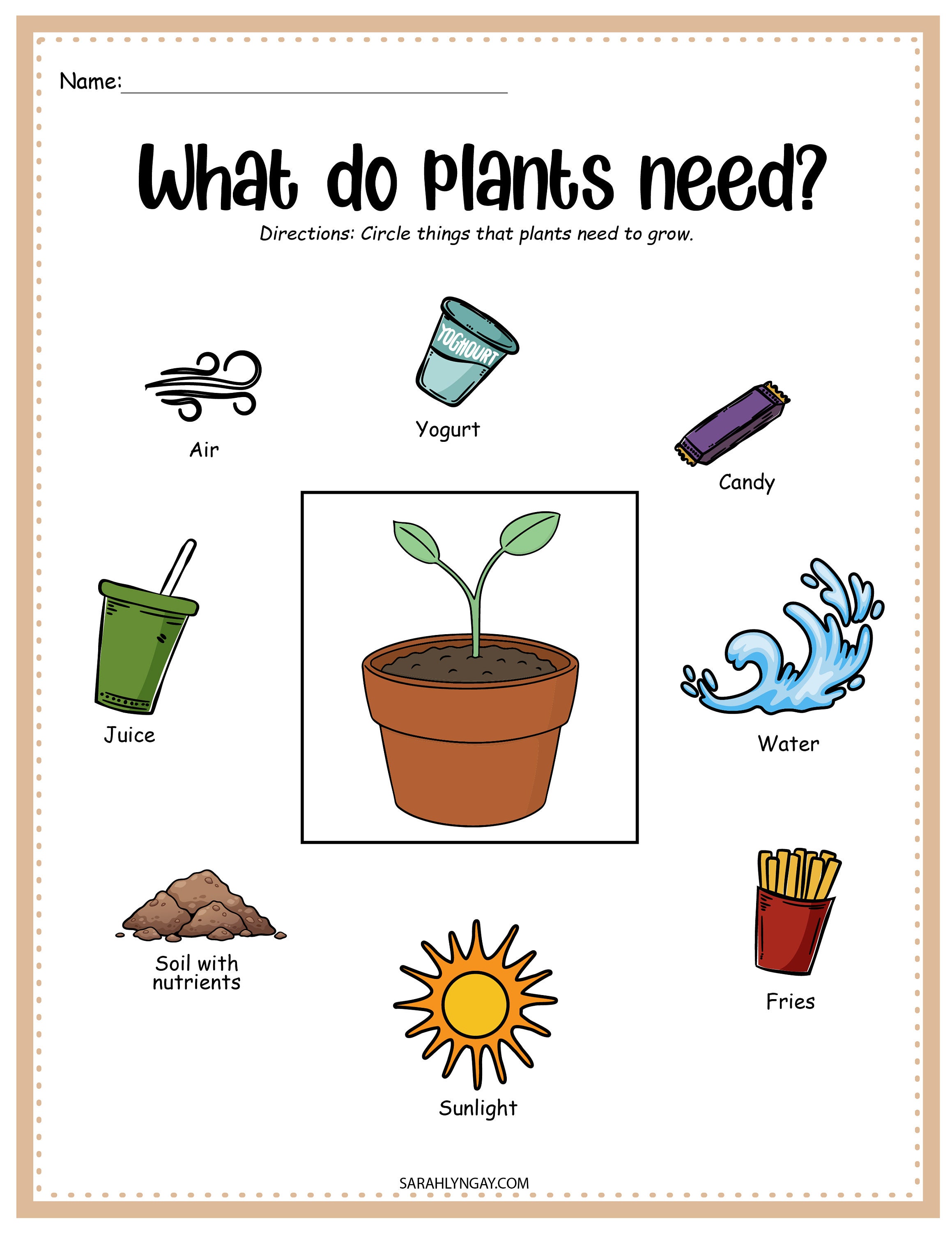 Tree Life Cycle, Trees, Instant Download, Digital Download, Kid’s ...