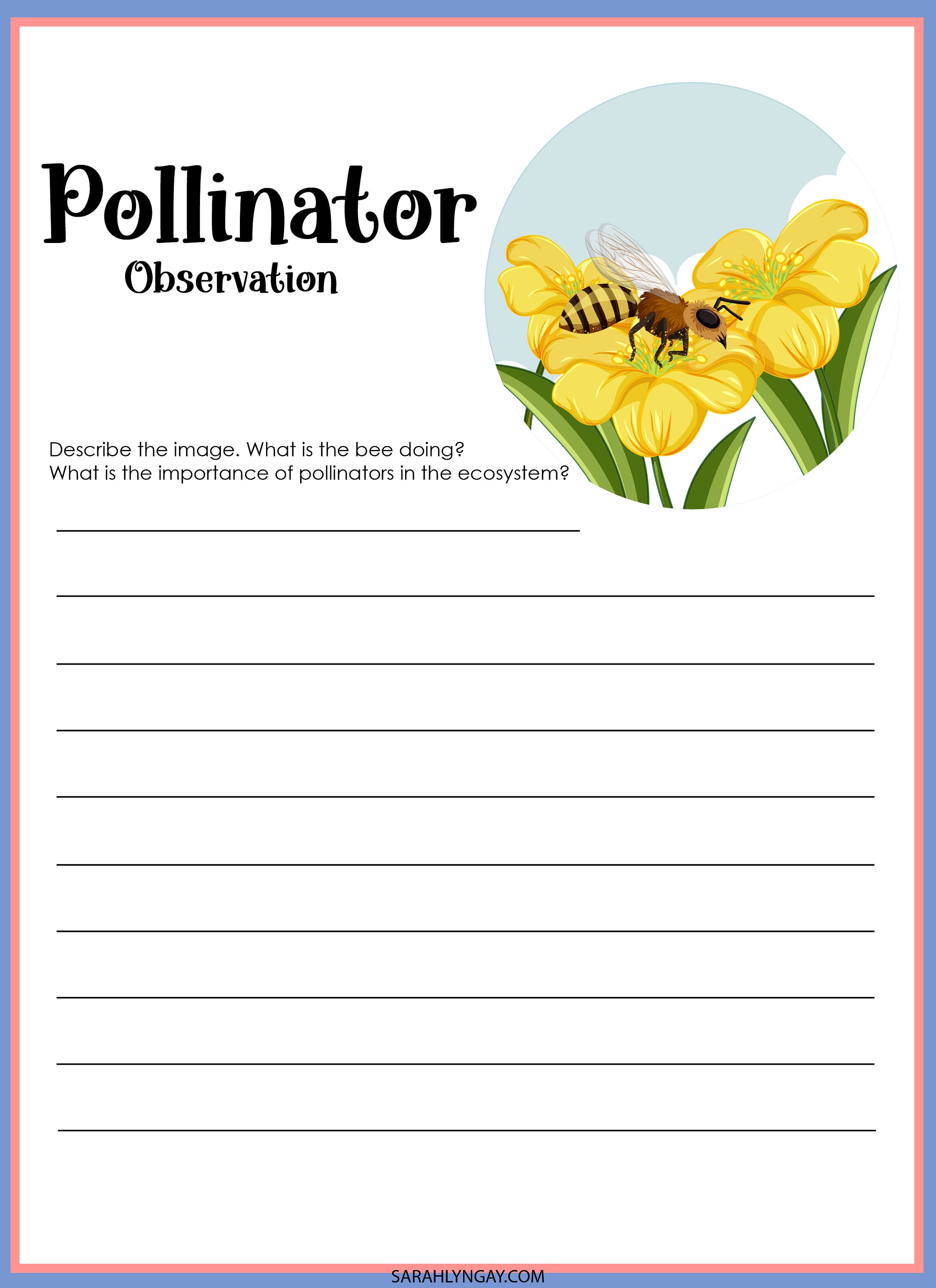 Pollination Set, Pollination, Instant Download, Kids Workbook, STEM ...