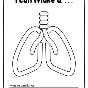 Human Organs Playdough Mats, Human Organs, Playdough Mats, Digital ...
