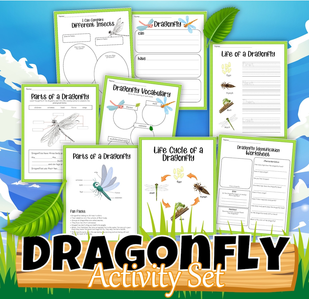 Dragonfly, Dragonfly Life Cycle, Instant Download, Digital Download ...
