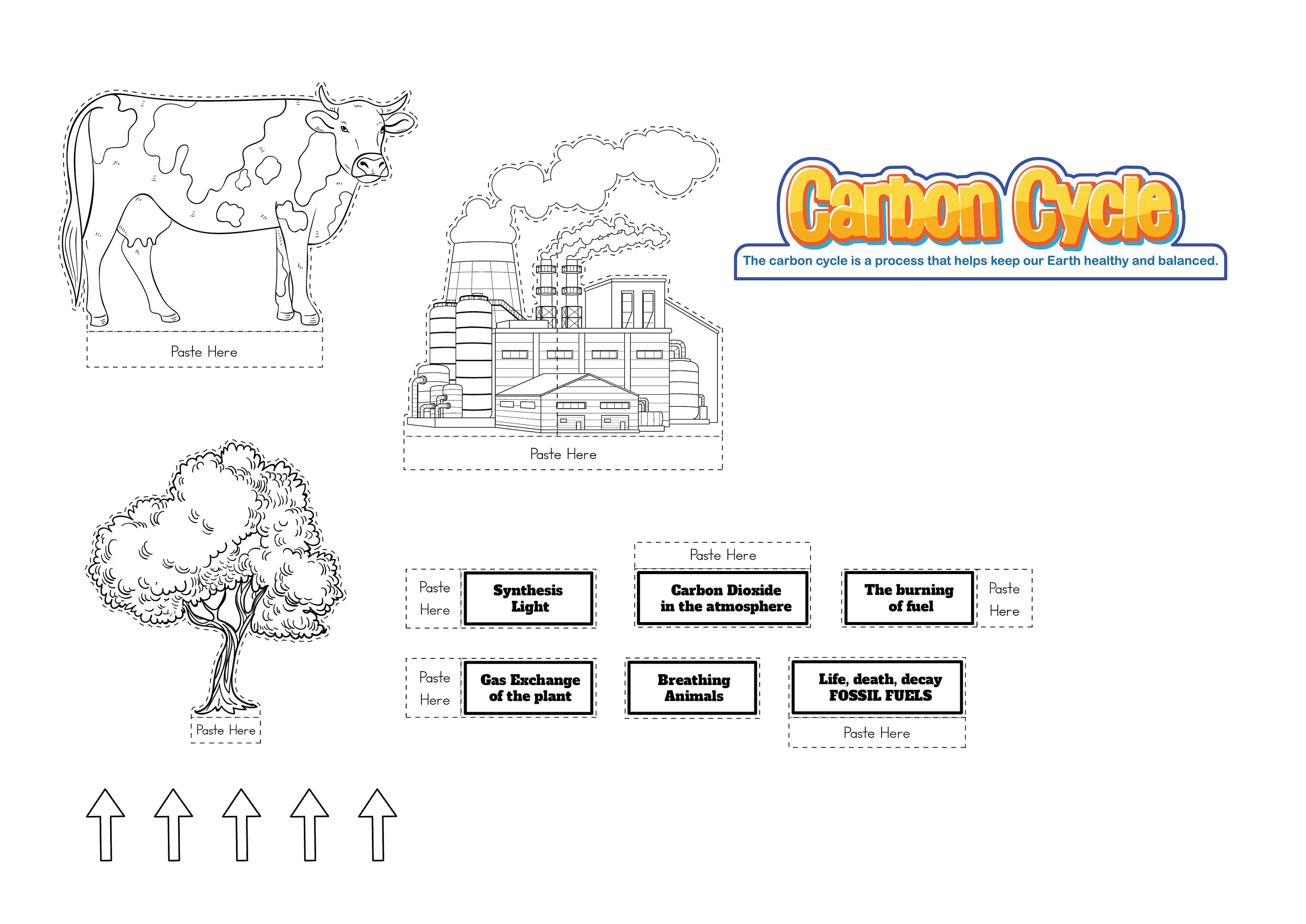Carbon Life Cycle Diorama, Carbon, Life Cycle Diorama, Digital Download ...