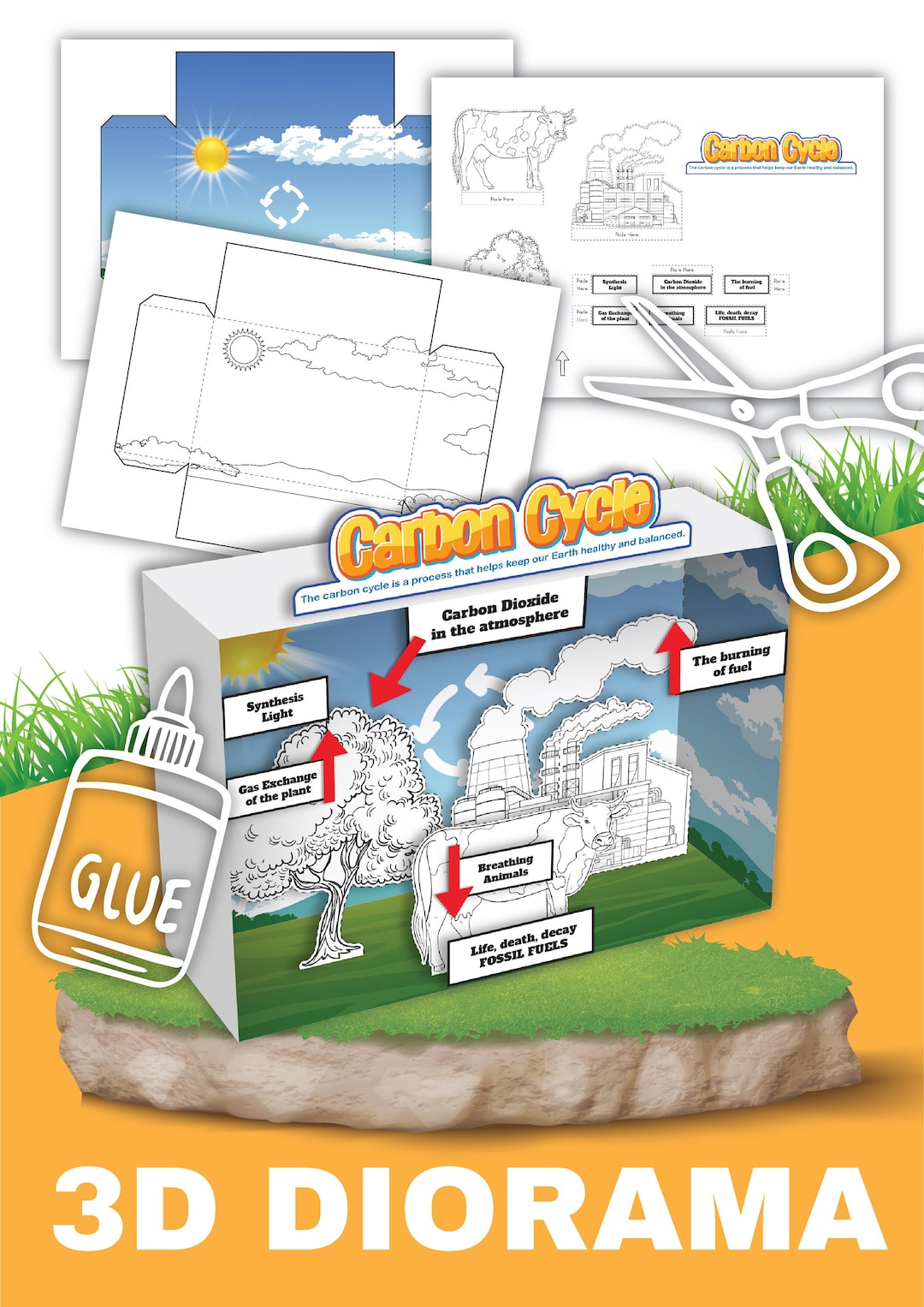 Carbon Life Cycle Diorama, Carbon, Life Cycle Diorama, Digital Download ...